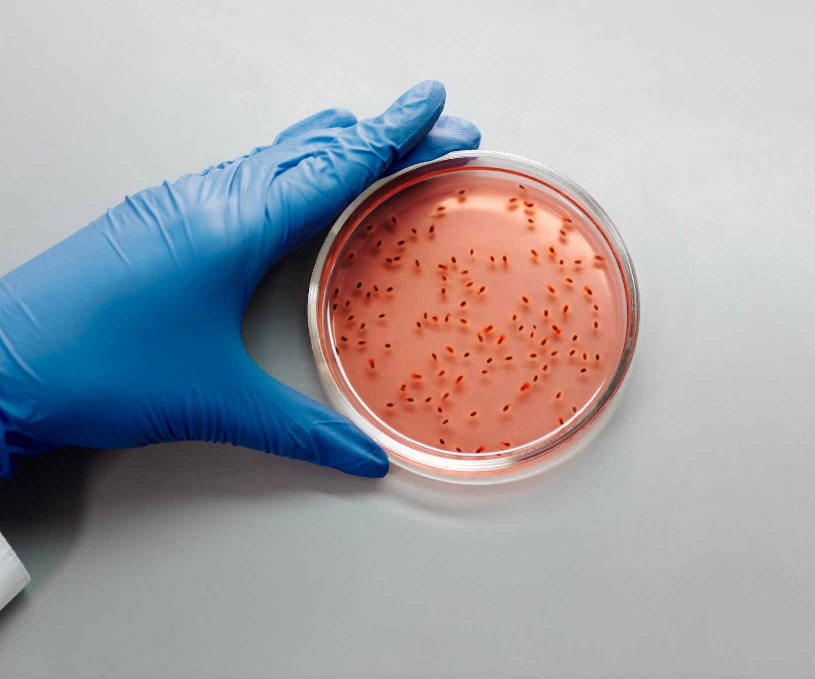 NOV | Microbiology Meet 2023: Illuminating Micro Worlds for Global ...